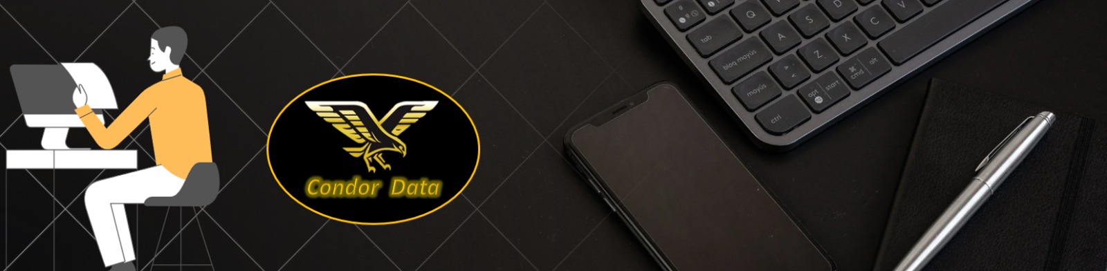 Condor Data - Desarrollo de Software